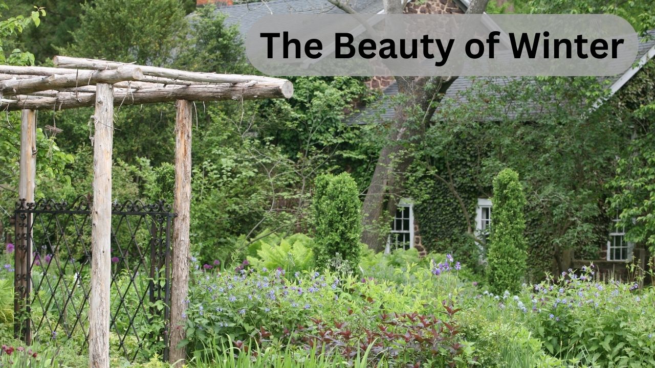 The Beauty of Winter: Embrace the Season's Charm - Gardening's Core