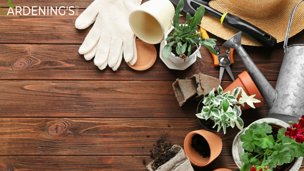 Summer Gardening: Tips for a Lush Garden - Gardening's Core