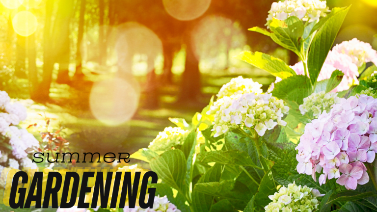 Summer Gardening: Tips for a Lush Garden - Gardening's Core